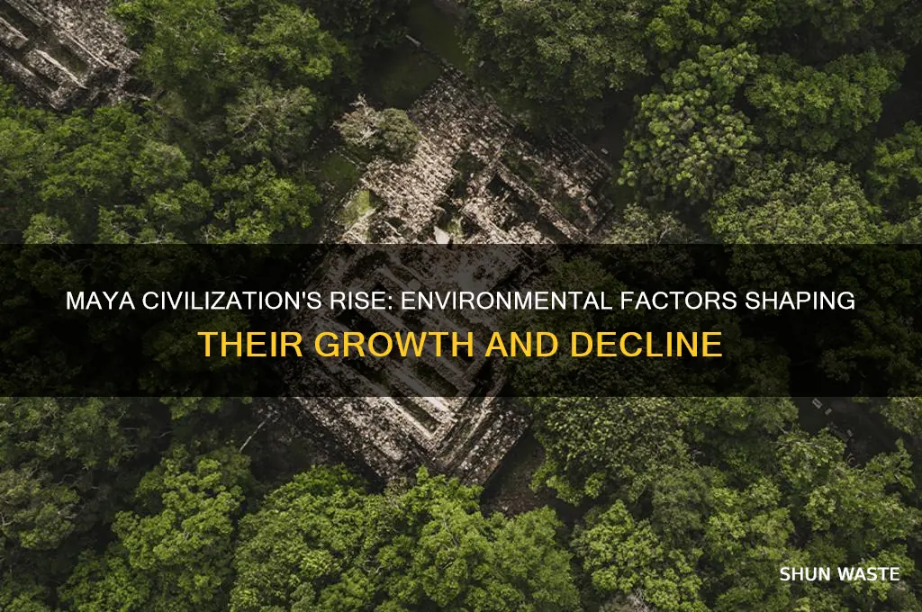 Maya Civilization's Rise: Environmental Factors Shaping Their Growth ...