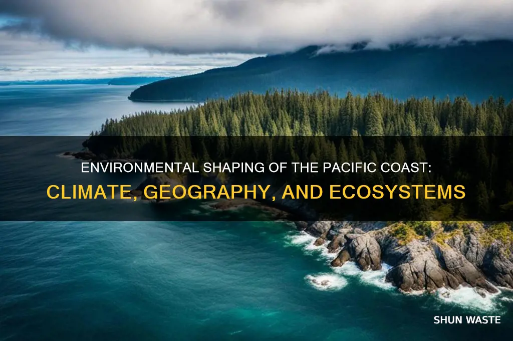 Environmental Shaping Of The Pacific Coast: Climate, Geography, And ...