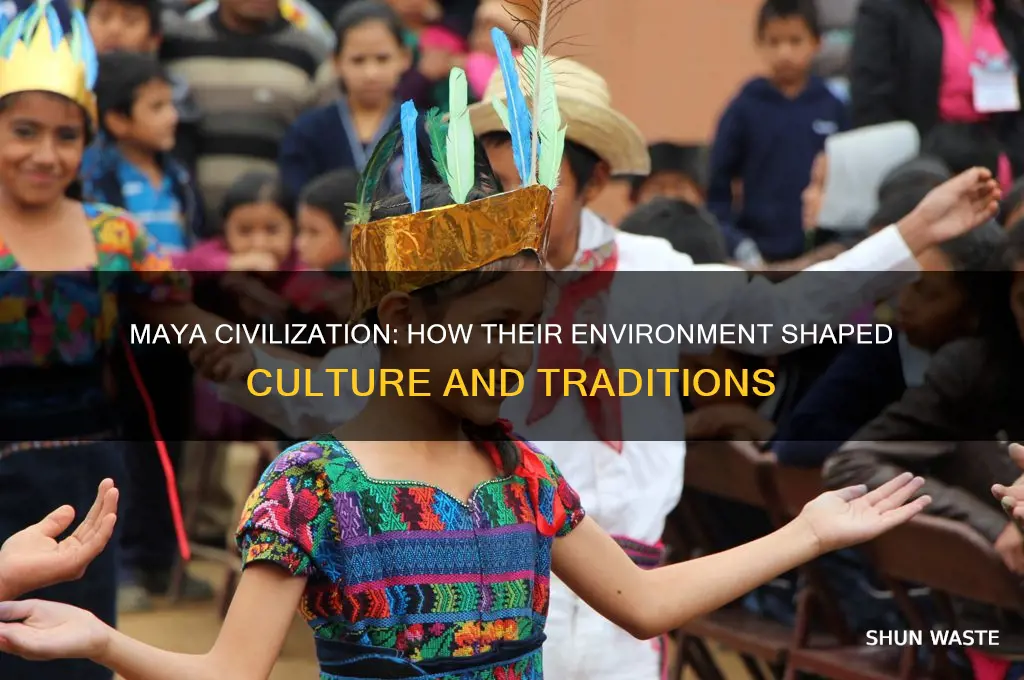 Maya Civilization: How Their Environment Shaped Culture And Traditions ...