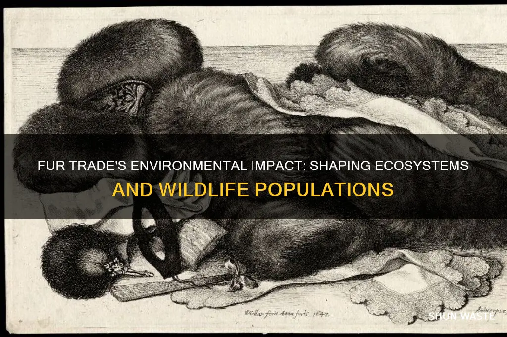 Fur Trade's Environmental Impact: Shaping Ecosystems And Wildlife ...