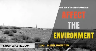 The Great Smog's Environmental Impact: A Historical Analysis Of ...