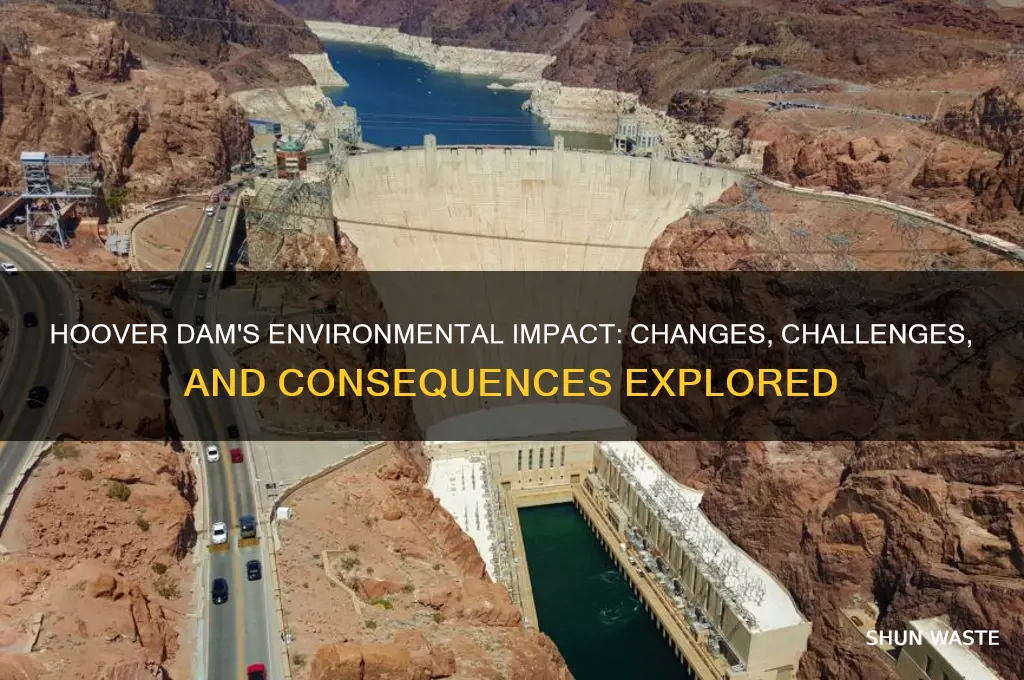Hoover Dam's Environmental Impact: Changes, Challenges, And ...