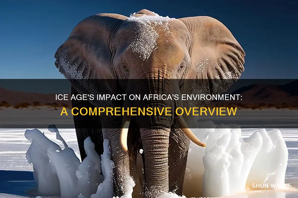 Ice Age's Impact On Africa's Environment: A Comprehensive Overview ...