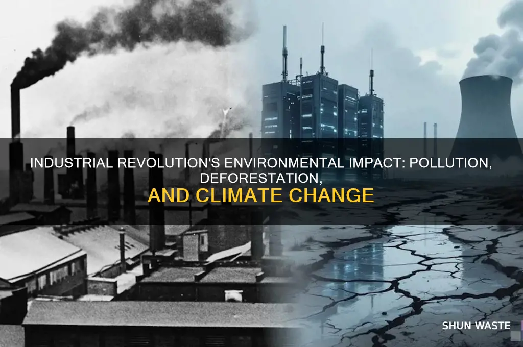Industrial Revolution's Environmental Impact: Pollution, Deforestation ...
