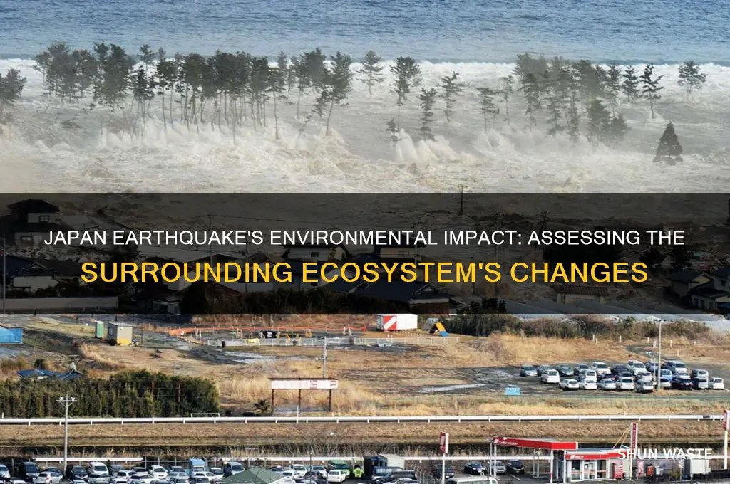 Japan Earthquake's Environmental Impact: Assessing The Surrounding ...