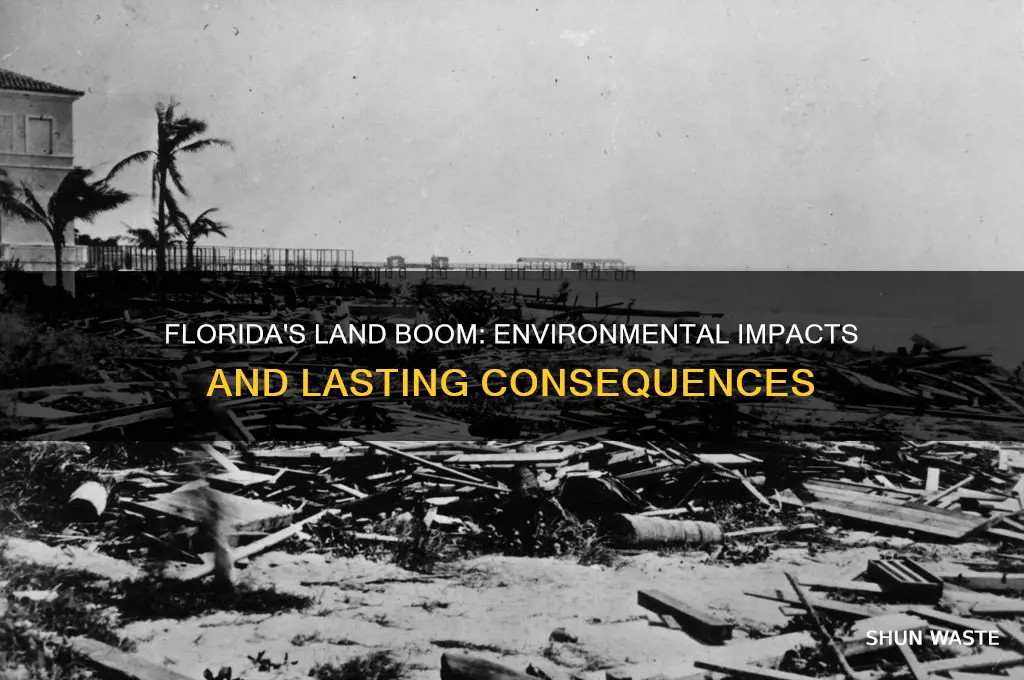 Florida's Land Boom: Environmental Impacts And Lasting Consequences ...