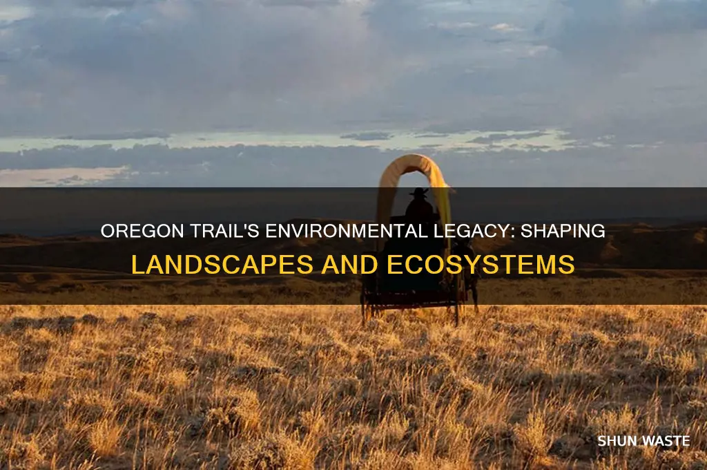 Oregon Trail's Environmental Legacy: Shaping Landscapes And Ecosystems ...
