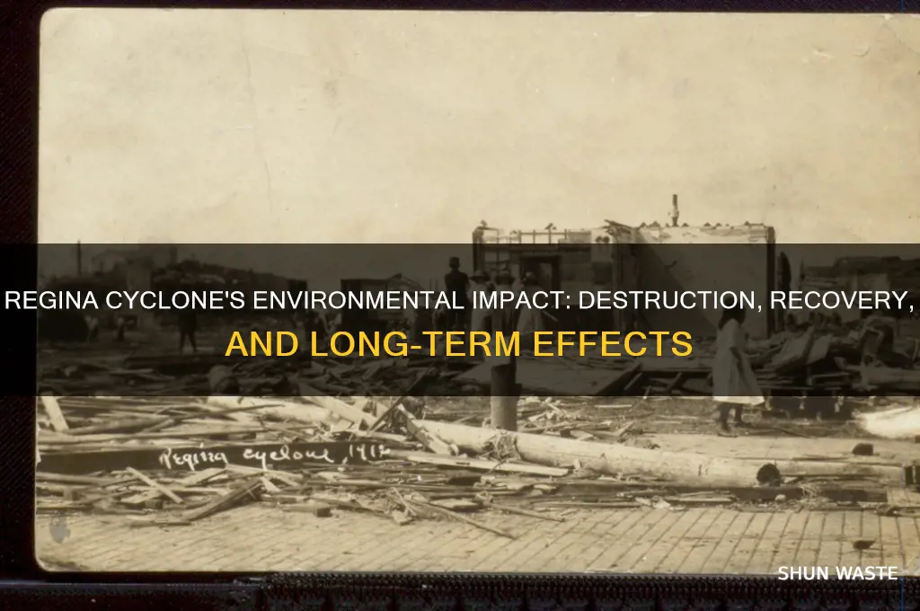 Regina Cyclone's Environmental Impact: Destruction, Recovery, And Long ...