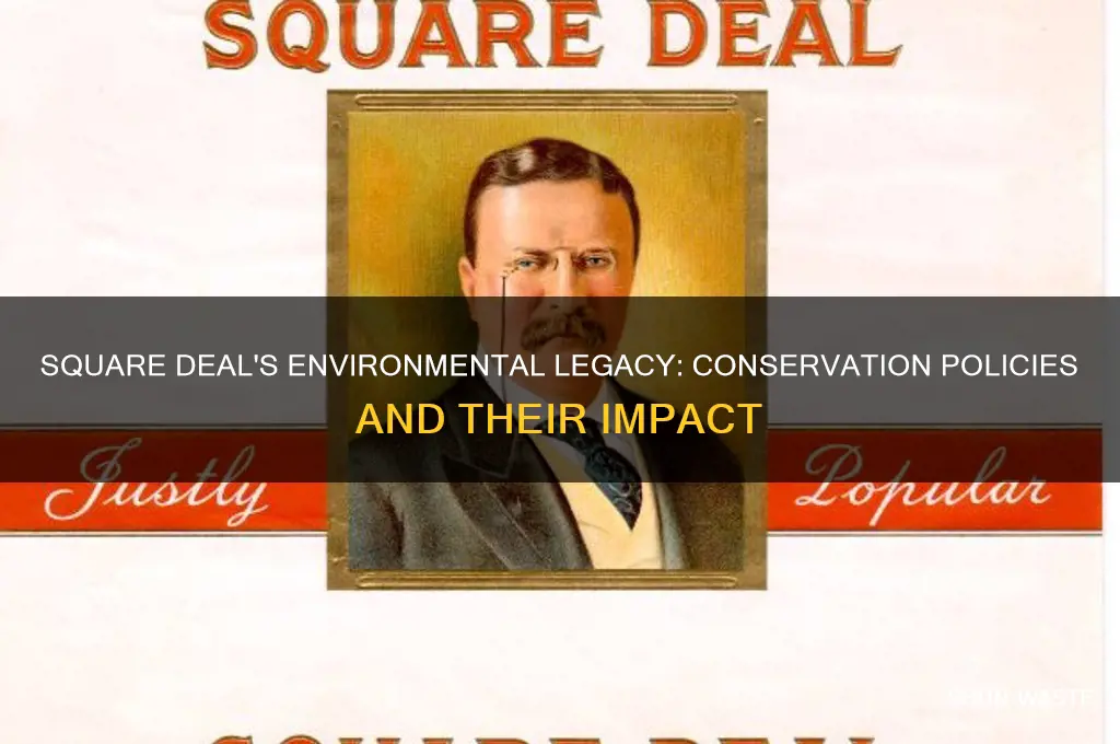 Square Deal's Environmental Legacy: Conservation Policies And Their ...