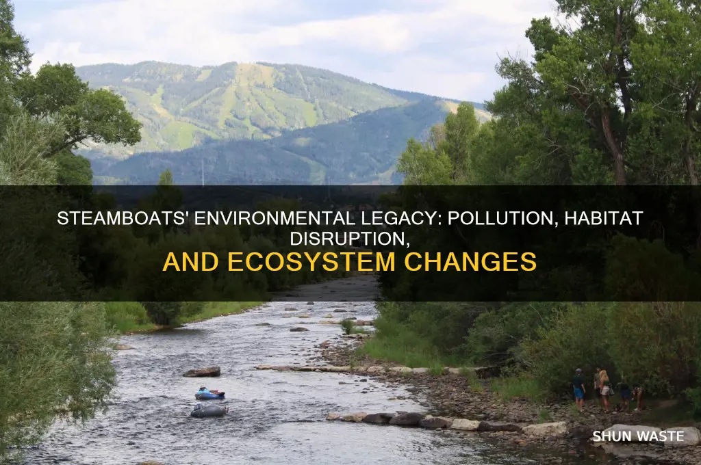 Steamboats' Environmental Legacy: Pollution, Habitat Disruption, And ...