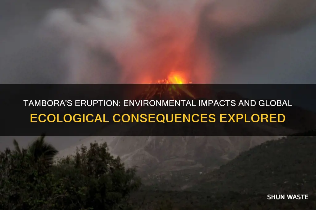 Tambora's Eruption: Environmental Impacts And Global Ecological ...
