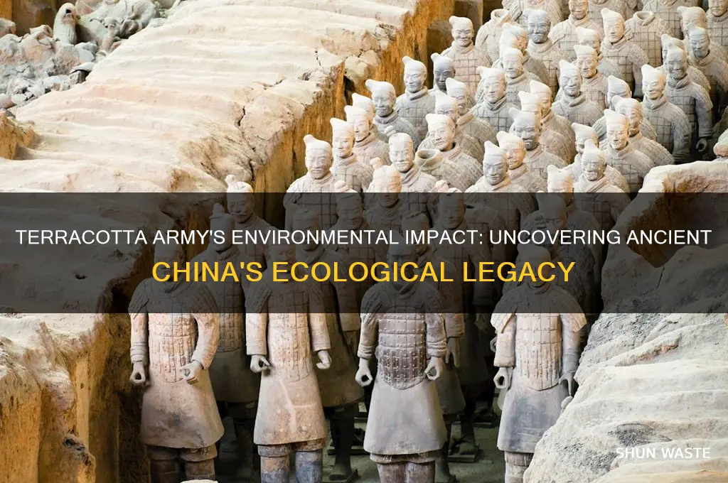 Terracotta Army's Environmental Impact: Uncovering Ancient China's ...
