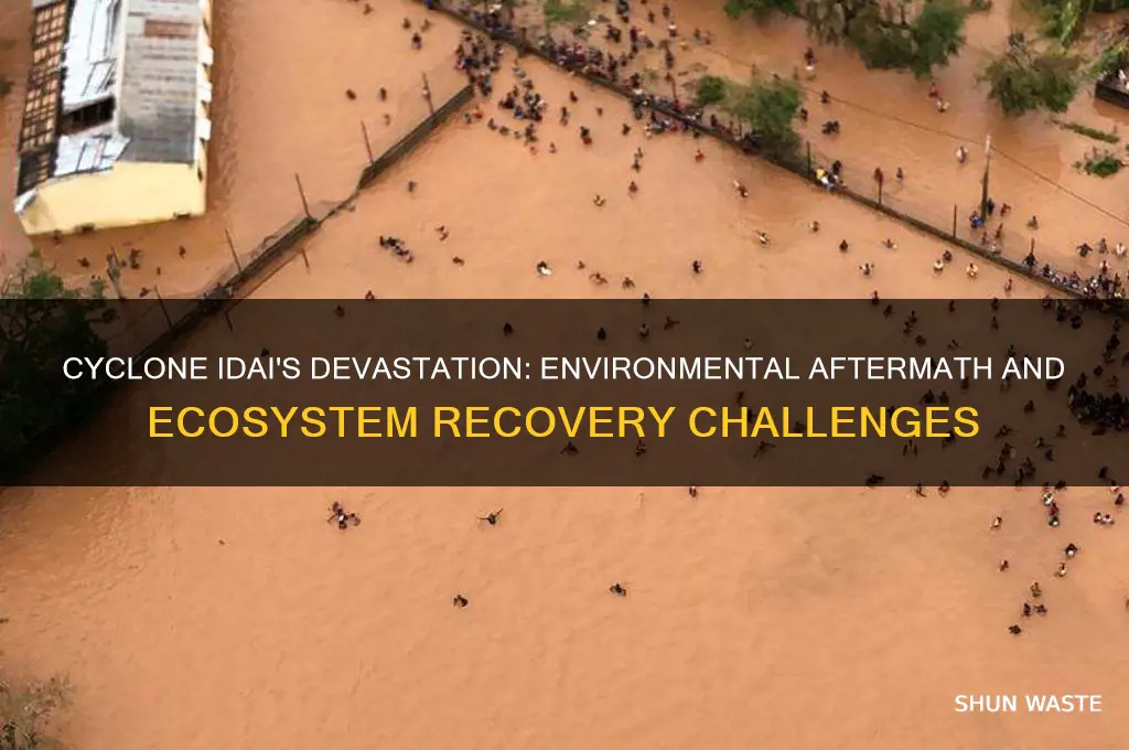 Cyclone Idai's Devastation: Environmental Aftermath And Ecosystem ...