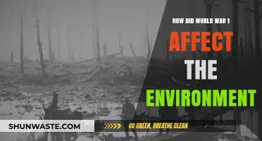 Typhoon Haiyan's Environmental Impact: Devastation, Recovery, And ...