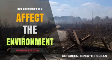 World War I's Devastating Environmental Legacy: Impacts And ...