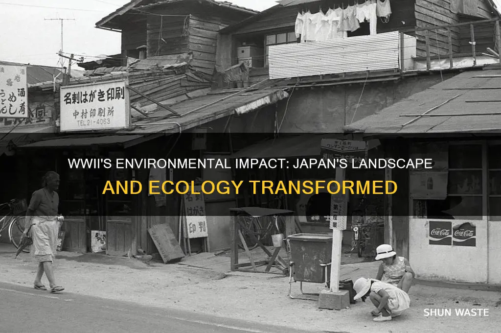 Wwii's Environmental Impact: Japan's Landscape And Ecology Transformed ...