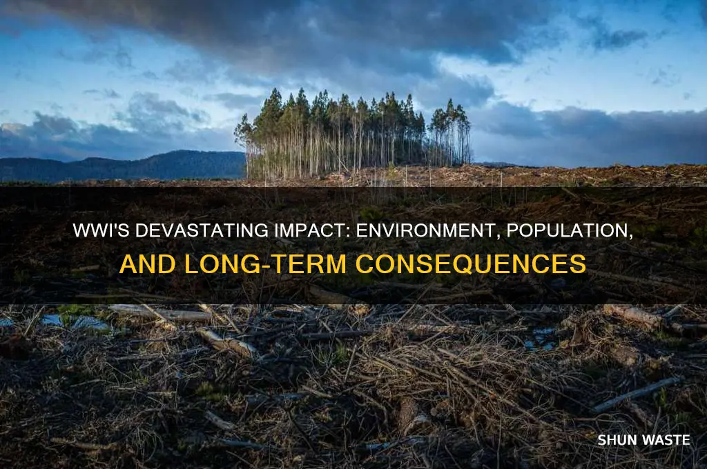Wwi's Devastating Impact: Environment, Population, And Long-Term ...
