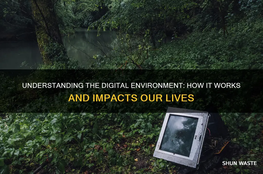 Understanding The Digital Environment: How It Works And Impacts Our ...