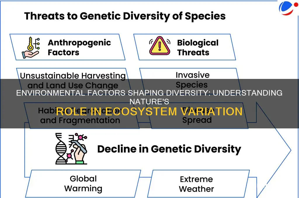 Environmental Factors Shaping Diversity: Understanding Nature's Role In ...