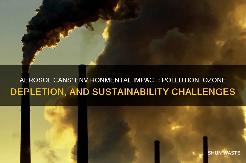 Aerosol Cans' Environmental Impact: Pollution, Ozone Depletion, And ...