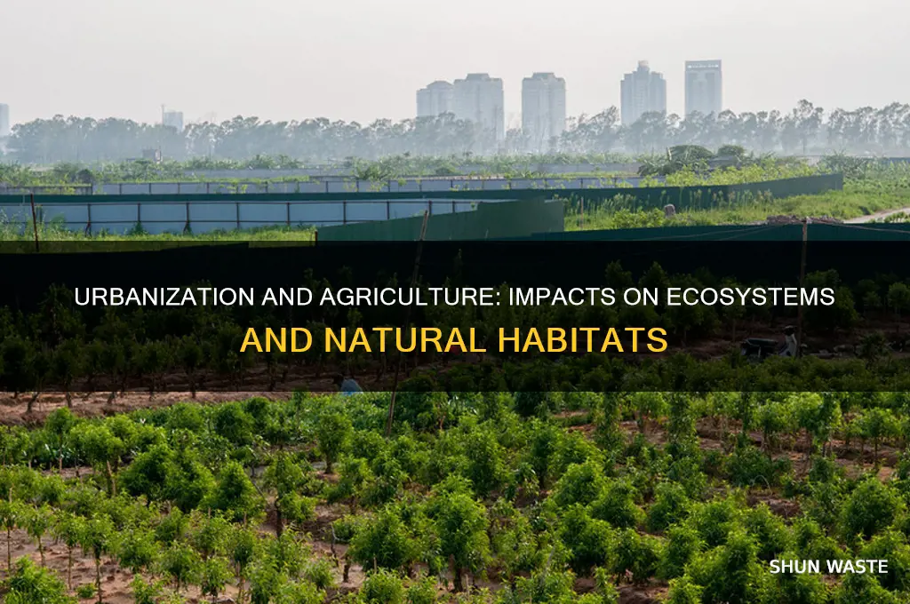 Urbanization And Agriculture: Impacts On Ecosystems And Natural ...