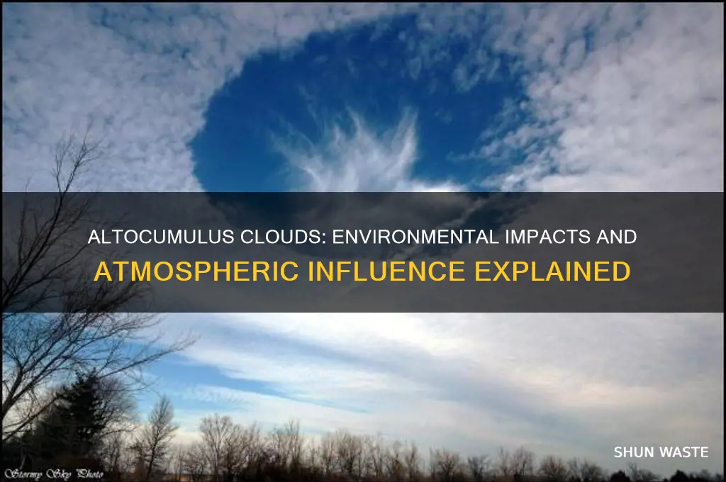 Altocumulus Clouds: Environmental Impacts And Atmospheric Influence ...