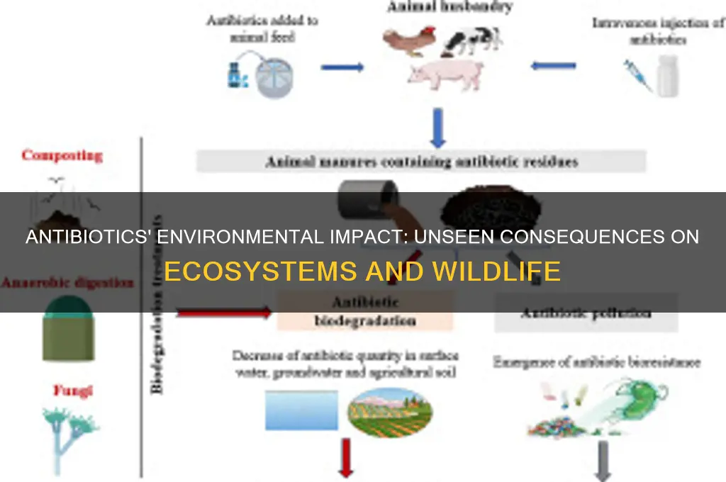 Antibiotics' Environmental Impact: Unseen Consequences On Ecosystems ...