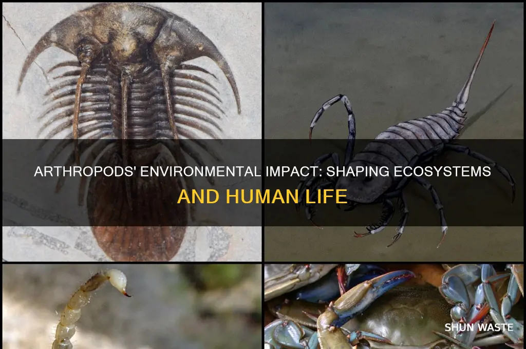Arthropods' Environmental Impact: Shaping Ecosystems And Human Life ...