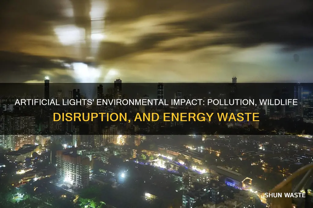 Artificial Lights' Environmental Impact: Pollution, Wildlife Disruption ...