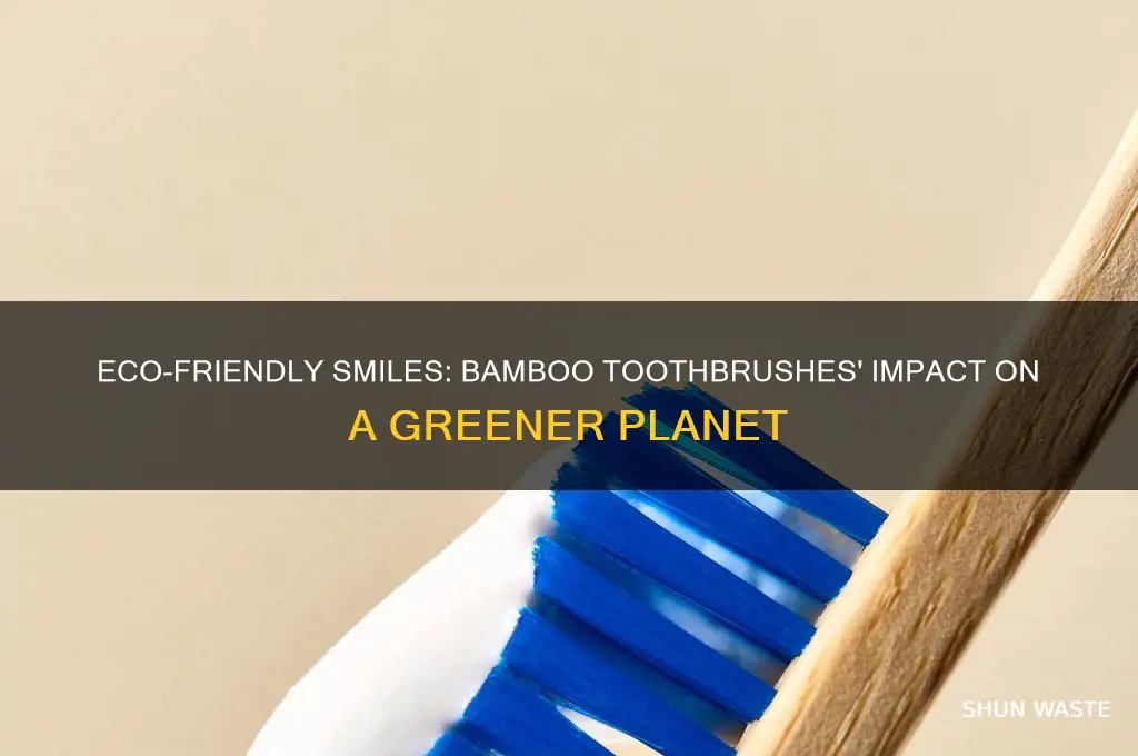 Eco-Friendly Smiles: Bamboo Toothbrushes' Impact On A Greener Planet ...