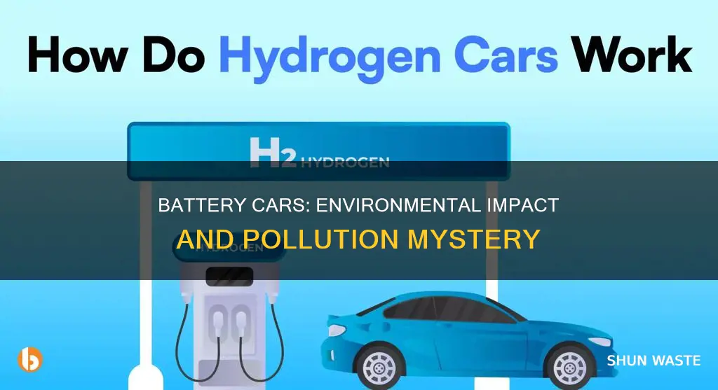 Battery Cars: Environmental Impact And Pollution Mystery | ShunWaste