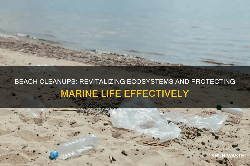 Beach Cleanups: Revitalizing Ecosystems And Protecting Marine Life ...