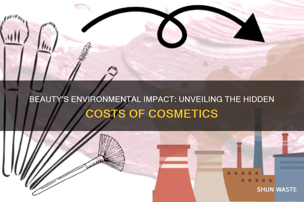Beauty's Environmental Impact: Unveiling The Hidden Costs Of Cosmetics ...