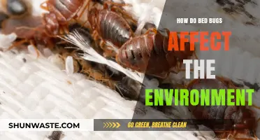 Bees' Vital Role In Shaping Our Environment And Ecosystem Health ...