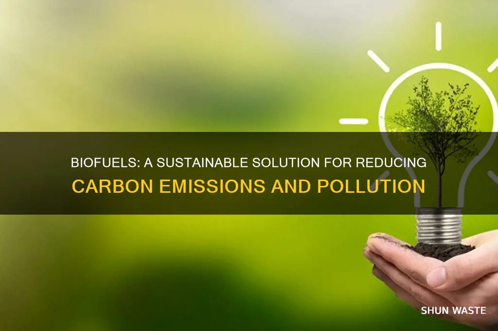 Biofuels: A Sustainable Solution For Reducing Carbon Emissions And ...