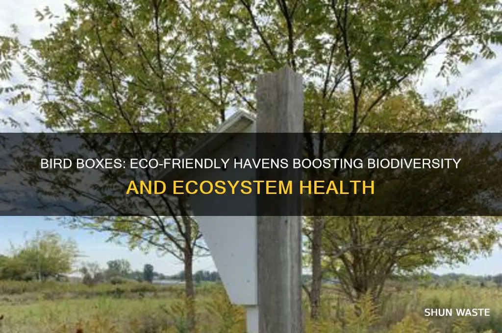 Bird Boxes: Eco-Friendly Havens Boosting Biodiversity And Ecosystem ...