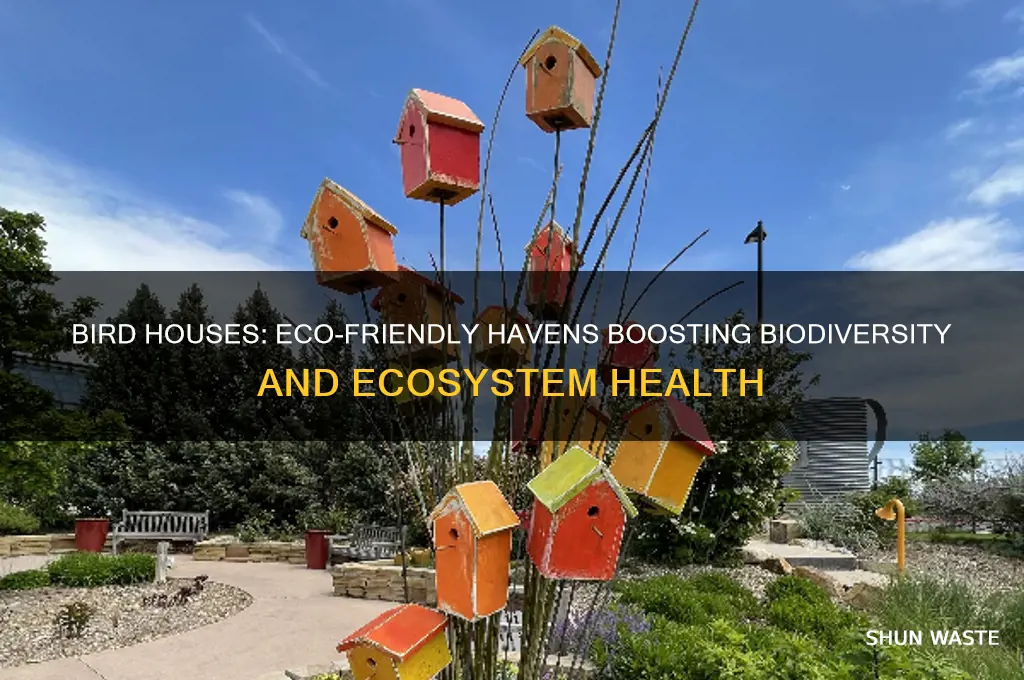 Bird Houses: Eco-Friendly Havens Boosting Biodiversity And Ecosystem ...