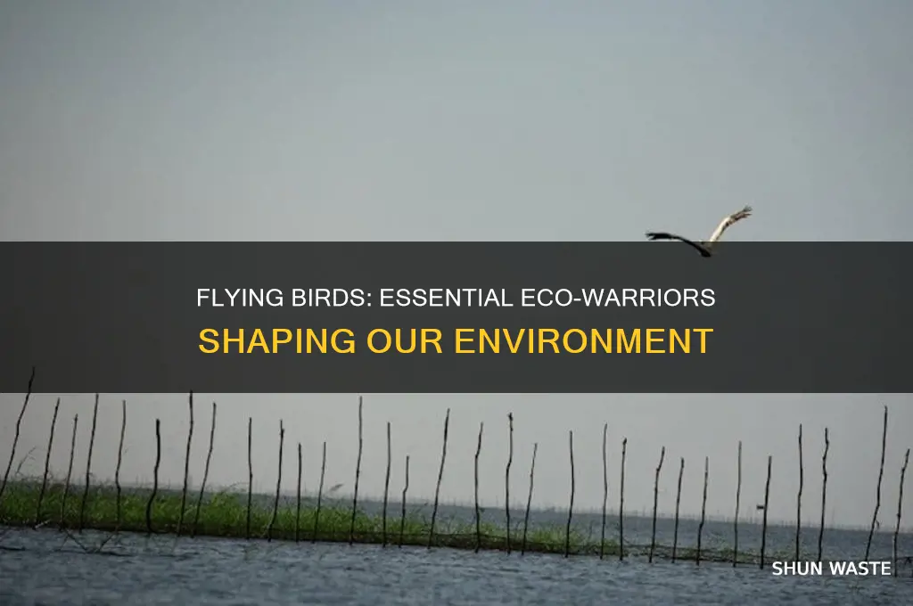 Flying Birds: Essential Eco-Warriors Shaping Our Environment | ShunWaste
