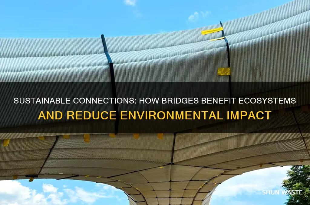Sustainable Connections: How Bridges Benefit Ecosystems And Reduce ...