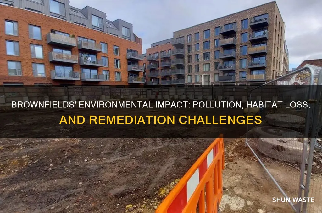 Brownfields' Environmental Impact: Pollution, Habitat Loss, And ...