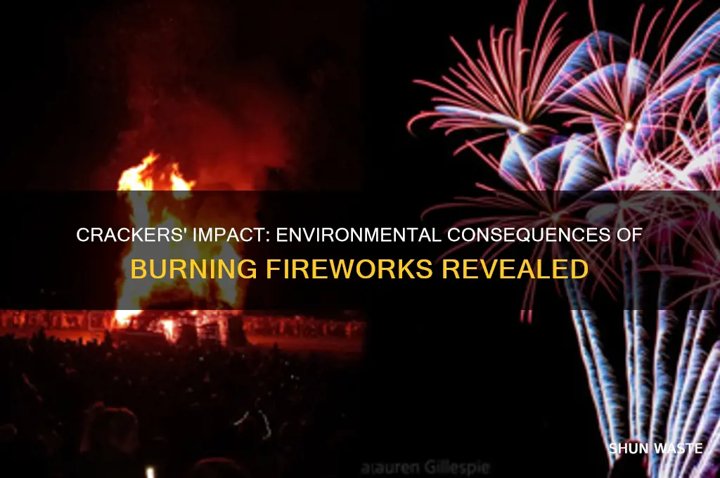 Crackers' Impact: Environmental Consequences Of Burning Fireworks ...