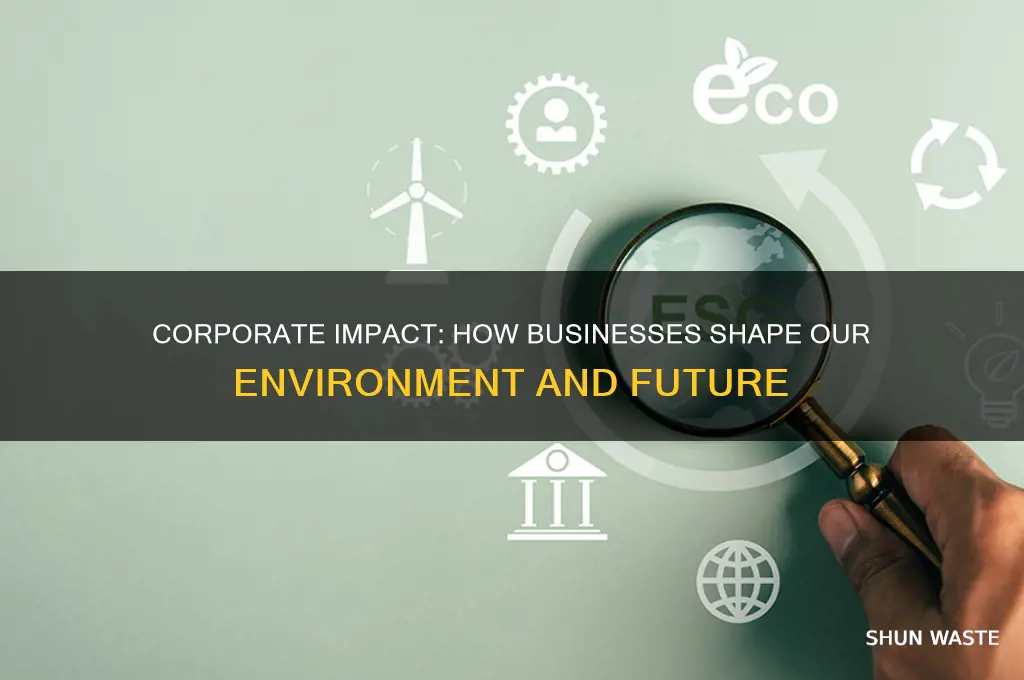 Corporate Impact: How Businesses Shape Our Environment And Future ...
