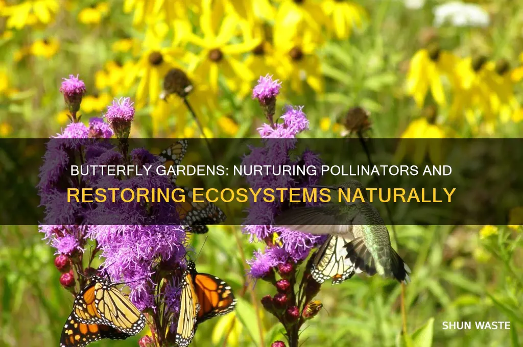 Butterfly Gardens: Nurturing Pollinators And Restoring Ecosystems ...