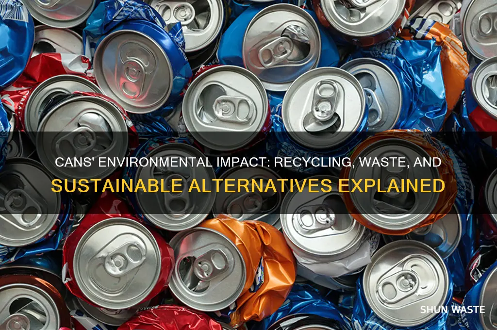 Cans' Environmental Impact: Recycling, Waste, And Sustainable ...