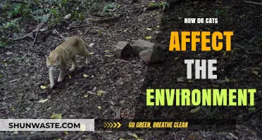 Carbon Monoxide's Environmental Impact: Pollution, Climate Change, And ...