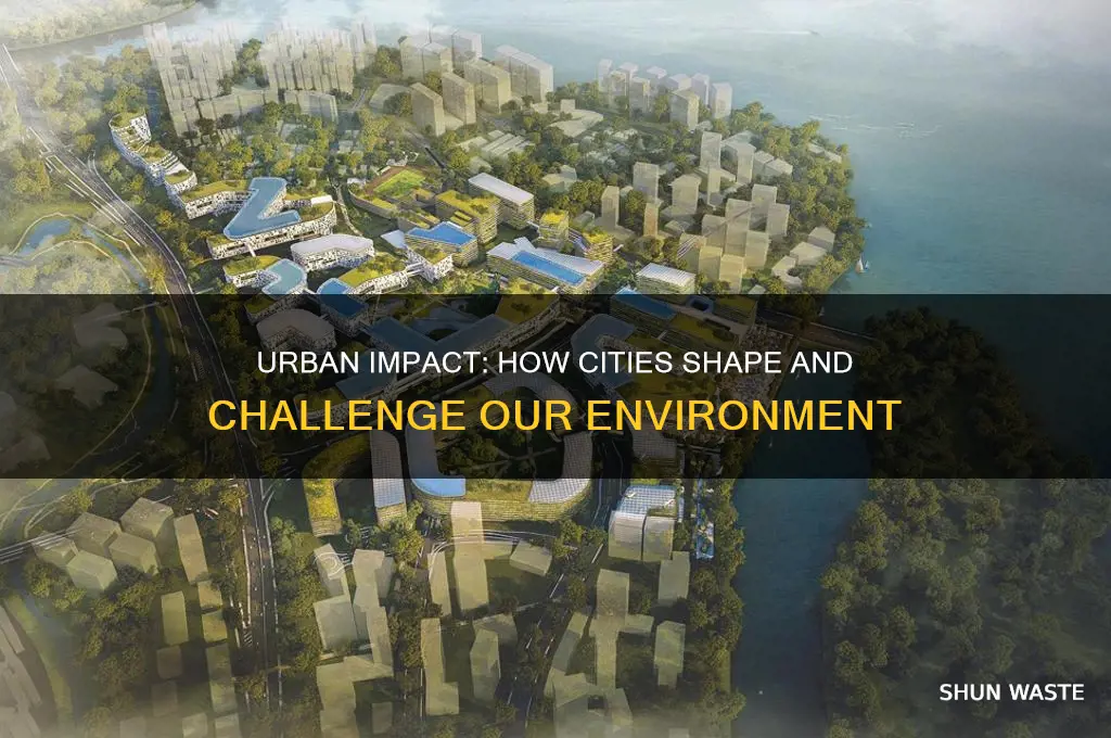 Urban Impact: How Cities Shape And Challenge Our Environment | ShunWaste