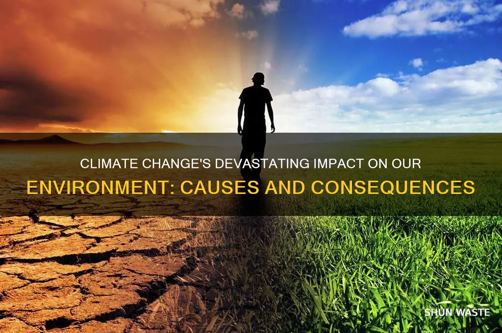 Climate Change's Devastating Impact On Our Environment: Causes And ...