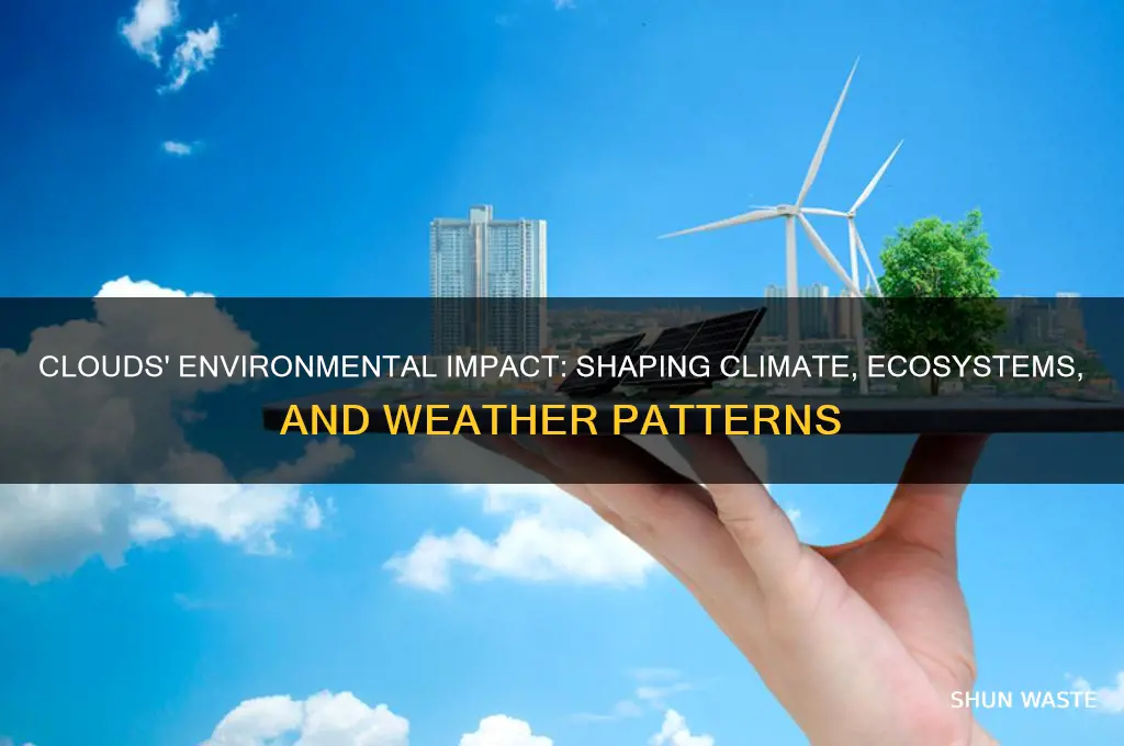 Clouds' Environmental Impact: Shaping Climate, Ecosystems, And Weather ...