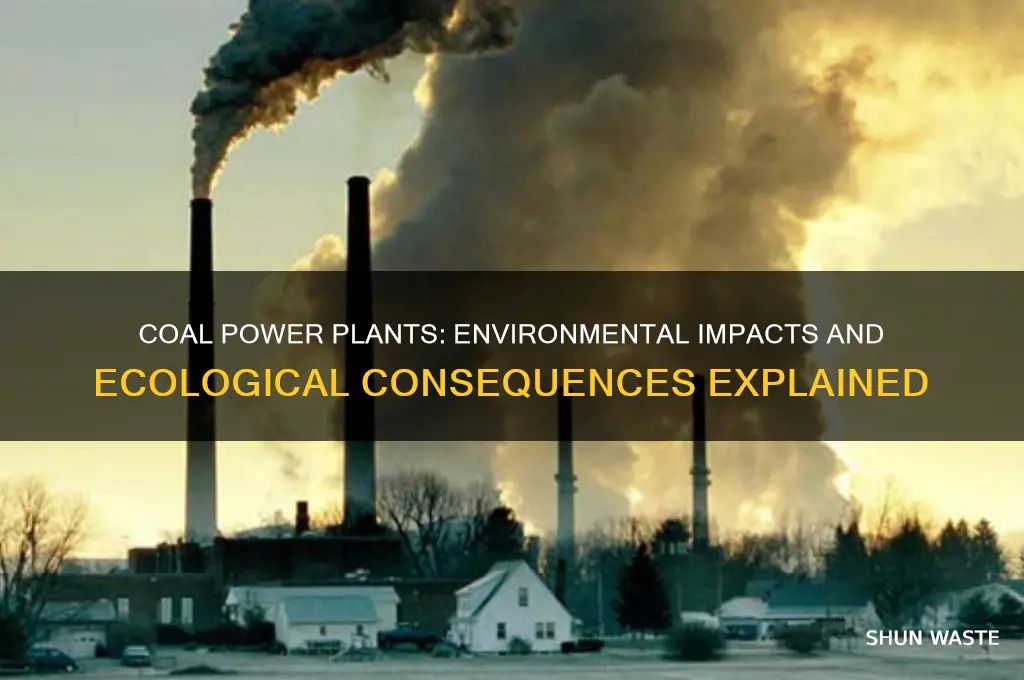 Coal Power Plants: Environmental Impacts And Ecological Consequences ...