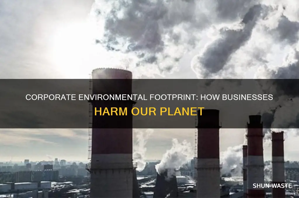 Corporate Environmental Footprint: How Businesses Harm Our Planet ...